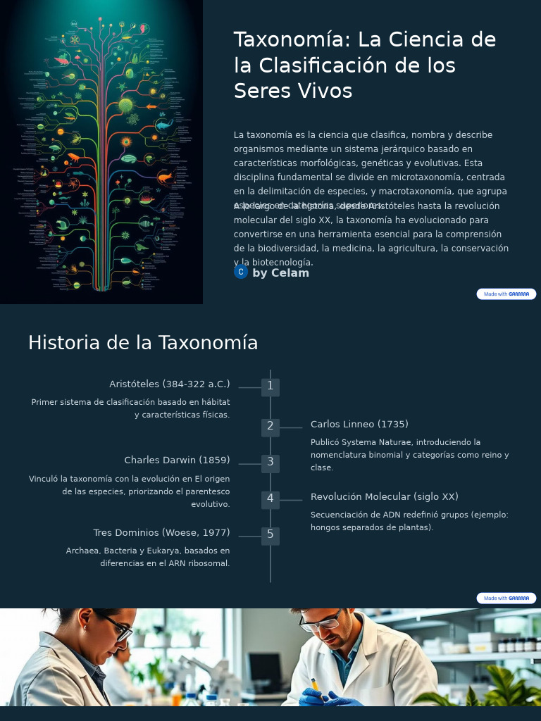 Taxonomia La Ciencia de La Clasificacion de Los Seres Vivos | PDF | Taxonomía (biología) | Evolución