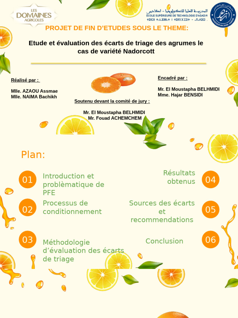 Pfe Presentation | PDF | Planets | Solar System
