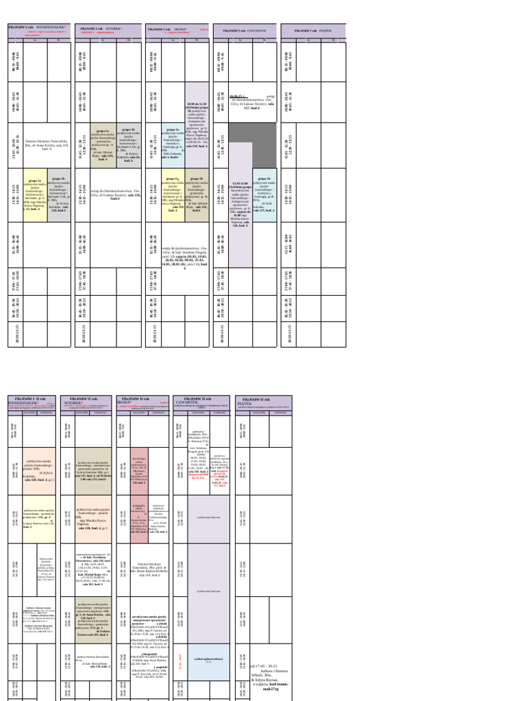 FRZJOdW I FROM IIst Plan Zajęć Semestr Letni 2024 2025 Zm. 25 IV 2025 | PDF