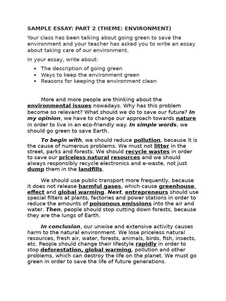 Sample Essay Environment | PDF | Natural Environment | Environmentalism