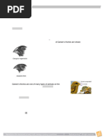 Beaks of Finches Lab Activity Guide | PDF | Ecological Niche | Birds