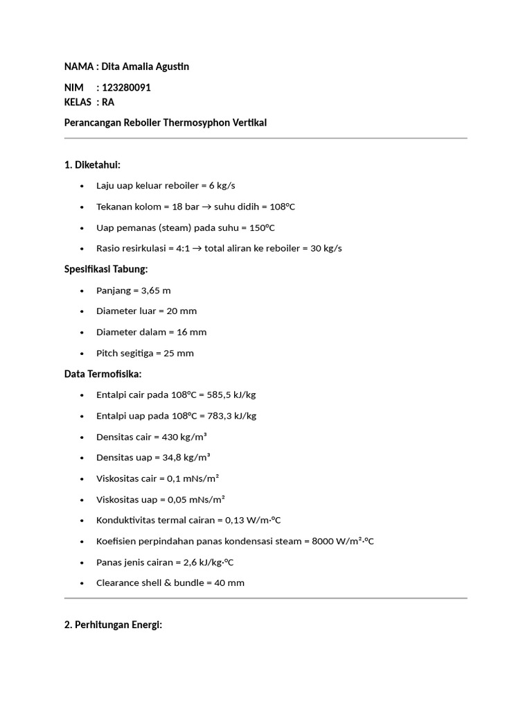 RA - Dita Amalia Agustin - 123280091 | PDF