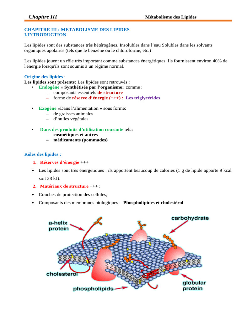 Métabolisme des Lipides et Cholestérol | PDF | Lipide | Cholestérol
