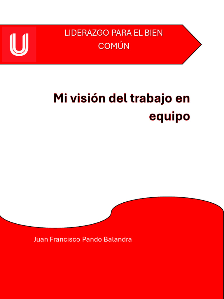 Liderazgo y Sinergia en Equipos Efectivos | PDF | Liderazgo | Experiencia