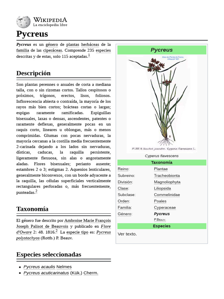 Género Pycreus: Especies y Taxonomía | PDF | Organismos acuáticos