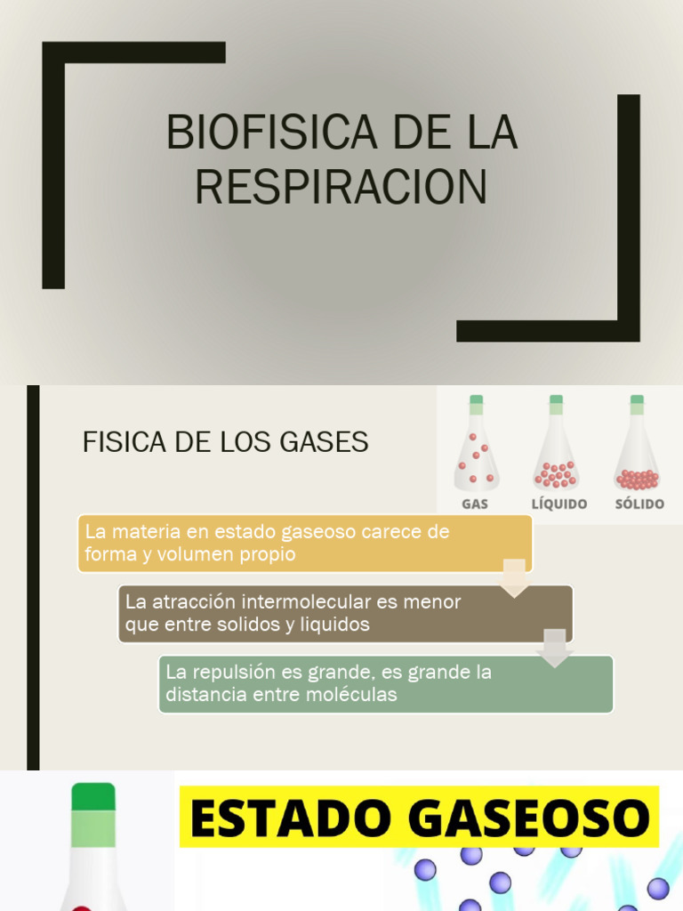06 - Biofisica de La Respiracion | PDF | Gases | Pulmón