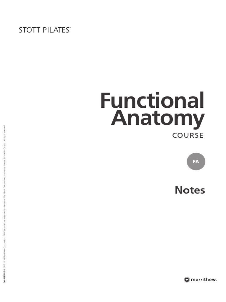 Merrithew Functional Anatomy Handout Jun 16 | PDF | Vertebra ...
