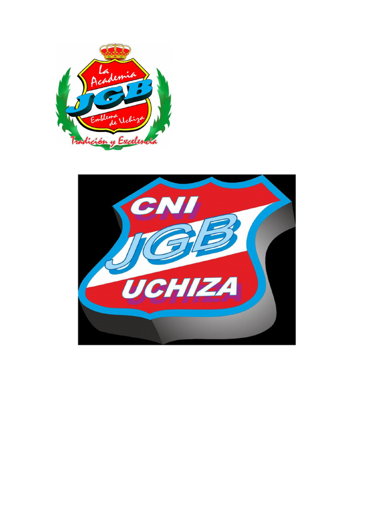 Insignia JGB | PDF
