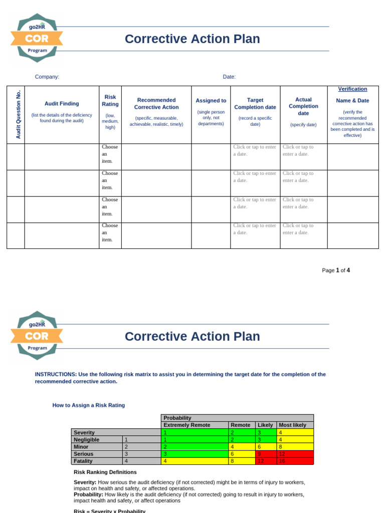COR Corrective Action Plan 2024 | PDF | Risk | Audit