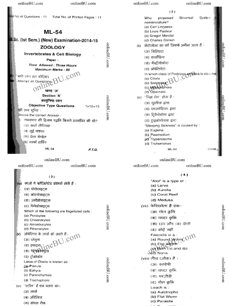 BSC 1 Sem Zoology Invertebrates and Cell Biology 2015 | PDF