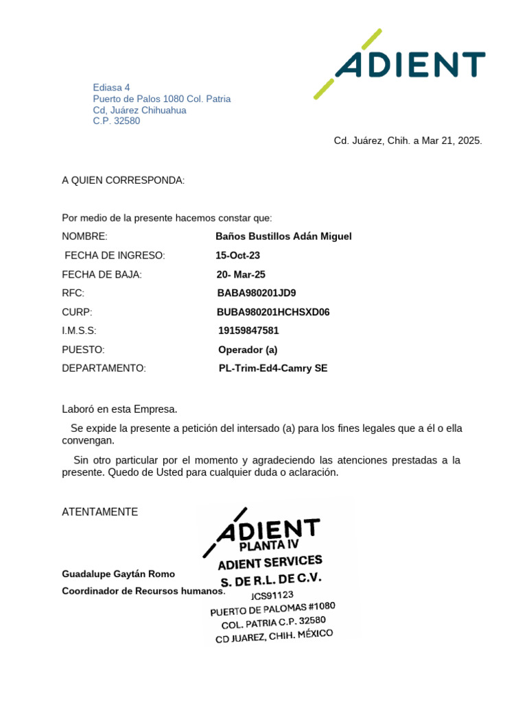 Adient Guadalupe Soto | PDF