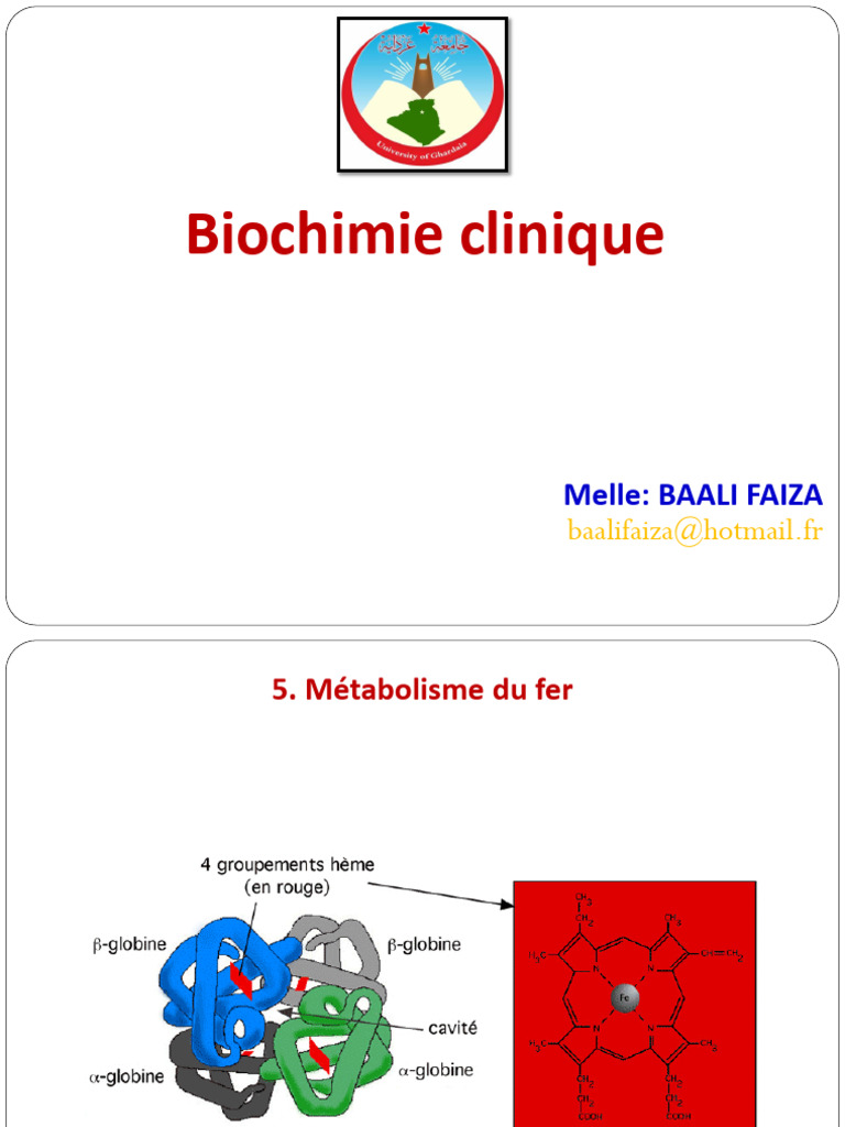 Métabolisme et absorption du fer | PDF