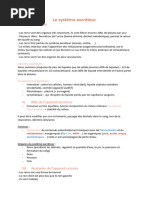 Anatomie et Régulation du Débit Sanguin Rénal | PDF | Rein | Vaisseau ...