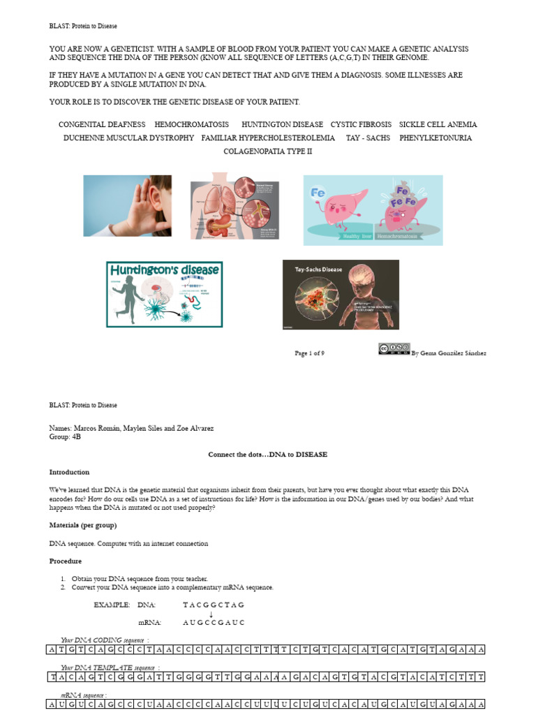 Copia de 24-25 Project 1 FROM DNA TO DISEASE PDF | PDF | Genetic Code ...