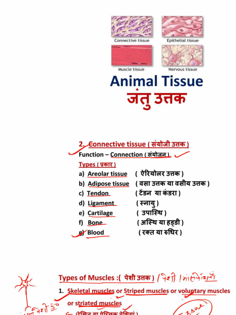 1 Dec 2023 Class PNG - 318643 - Crwill | PDF