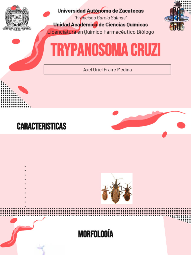 Tryposoma Cruzi | PDF | Inmunología | Medicina CLINICA