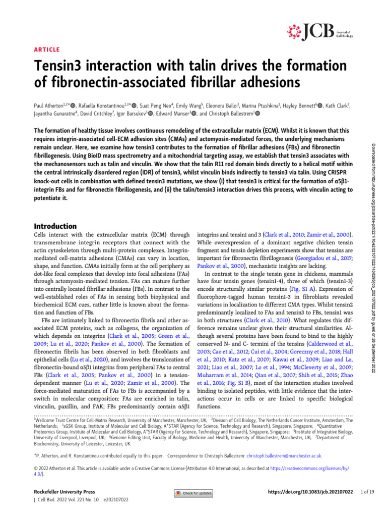 Atherton-JCB-2022 (Ballestrem-Tensin3 Talin-Fibrillar Adhesions) | PDF ...