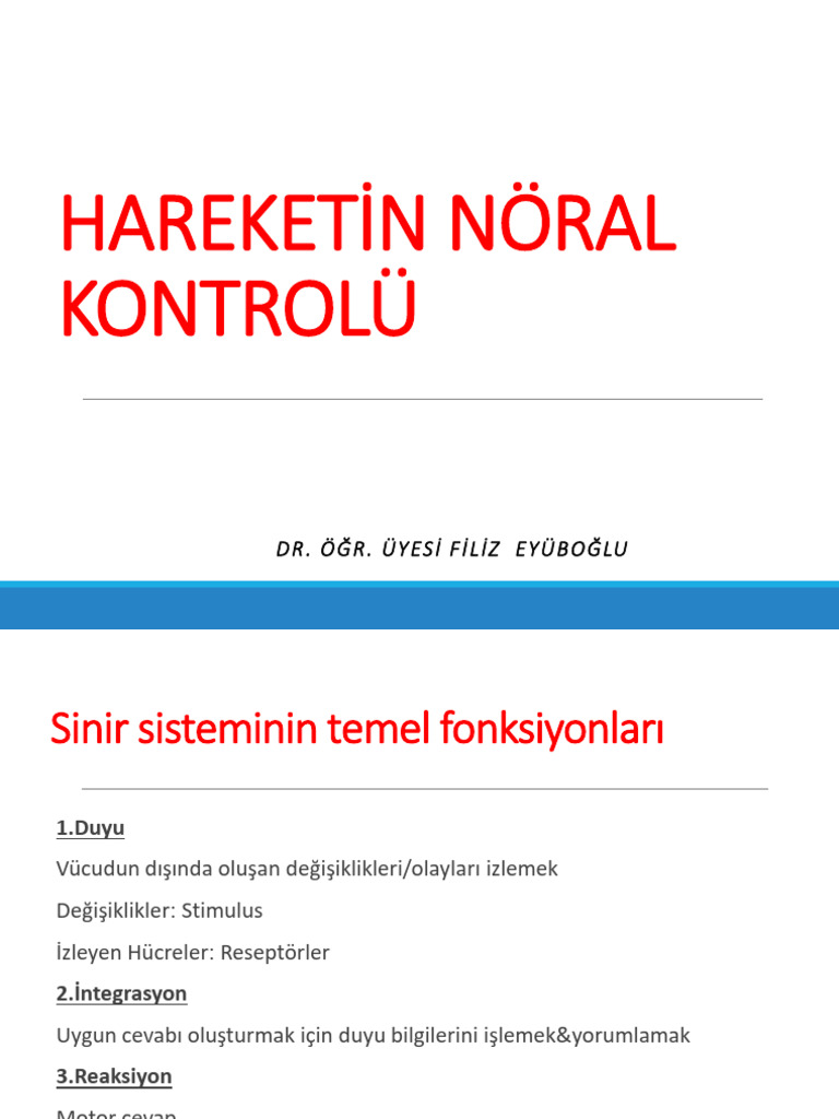 Hareketin Noral Kontrolu | PDF