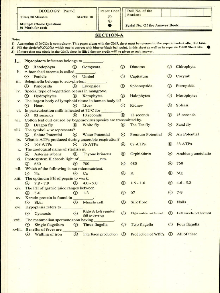 Bise Swat Model Papers Class 11th PDF | PDF