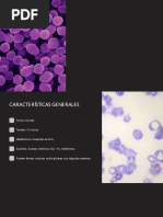 Metanogénesis: Proceso y Aplicaciones | PDF | Archaea | Biología