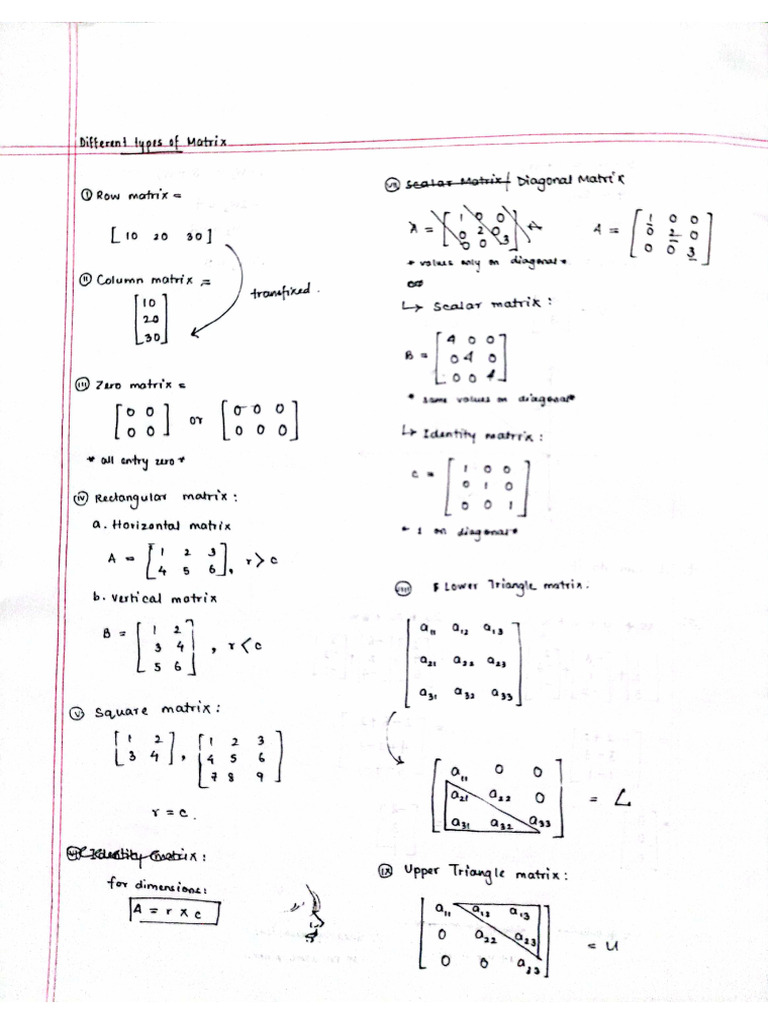 Mat216 Lectures | PDF
