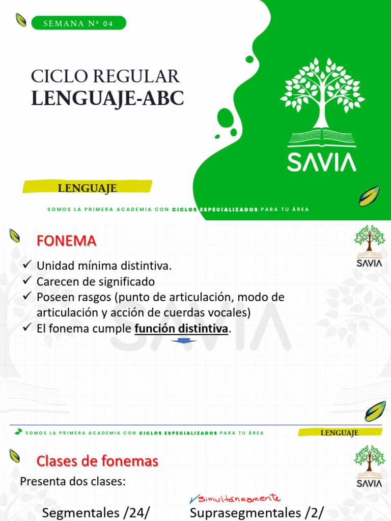 Lenguaje Abc Sem4 | PDF | Sílaba | Fonema