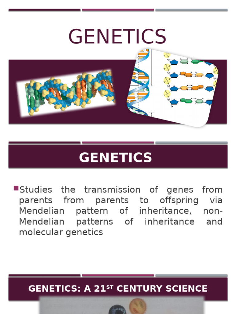 Introduction To Genetics | PDF
