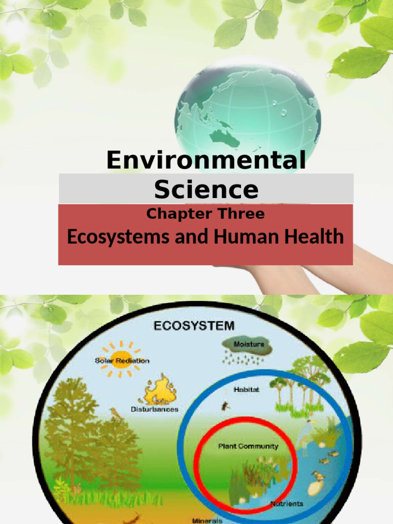 Chapter 3 - E.S. Final. | PDF | Ecosystem | Ecology