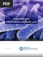 Protocolo de Manejo Clostridium difficile | PDF | Diarrea | Diagnostico medico
