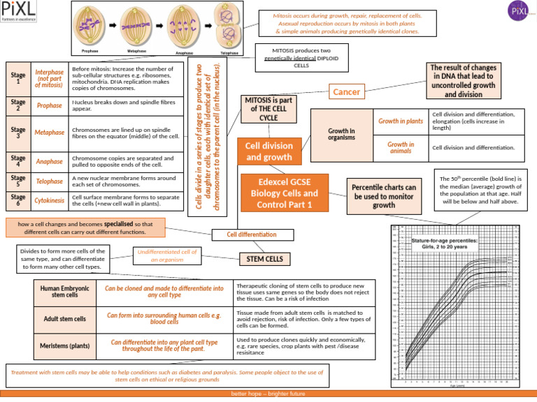 2 Edexcel Biology Cells and Control Knowledge MAT Part 1 GCSE | PDF ...