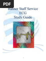 EKG Practice Sheets with Answers | PDF | Cardiac Arrhythmia ...