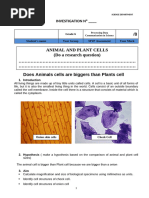 Beetroot Membrane Permeability Practical | PDF | Cell Membrane | Experiment