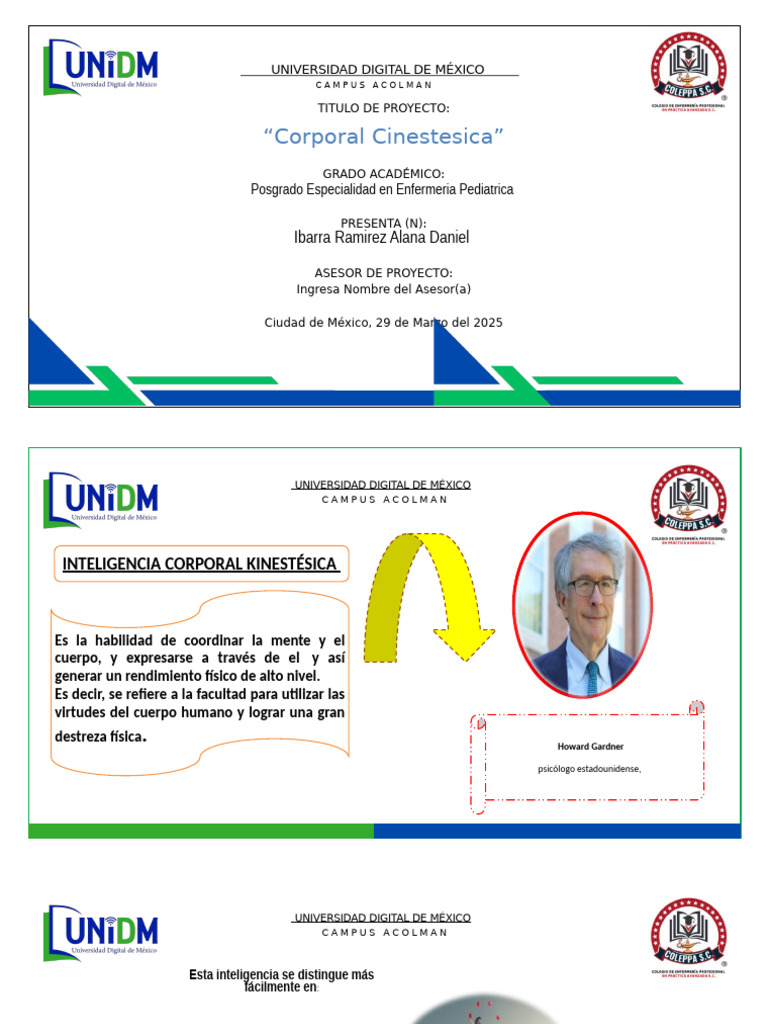 Formato Proyecto Presentacion - Unidm Coleppa | PDF