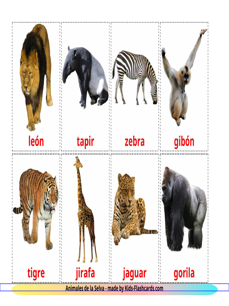 Animales de La Selva 8 A4 | PDF