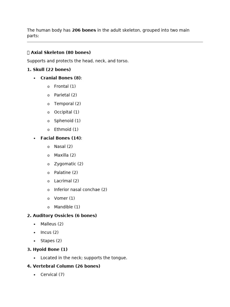 Overview of 206 Human Bones | PDF