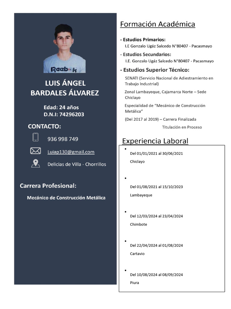 CV Angel Actualizado | PDF