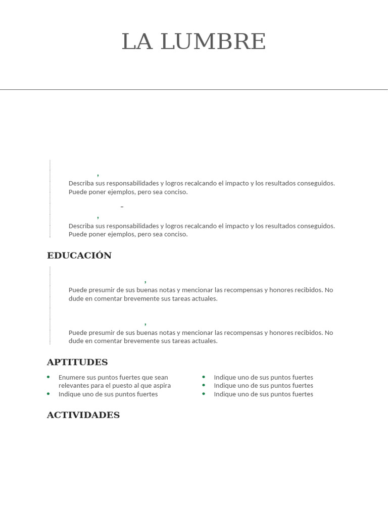 Responsabilidades y Logros Profesionales | PDF