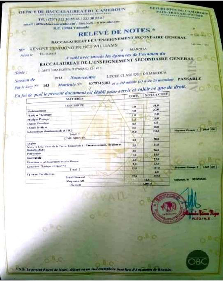 ACE Scanner - 2024 - 06 - 22 | PDF