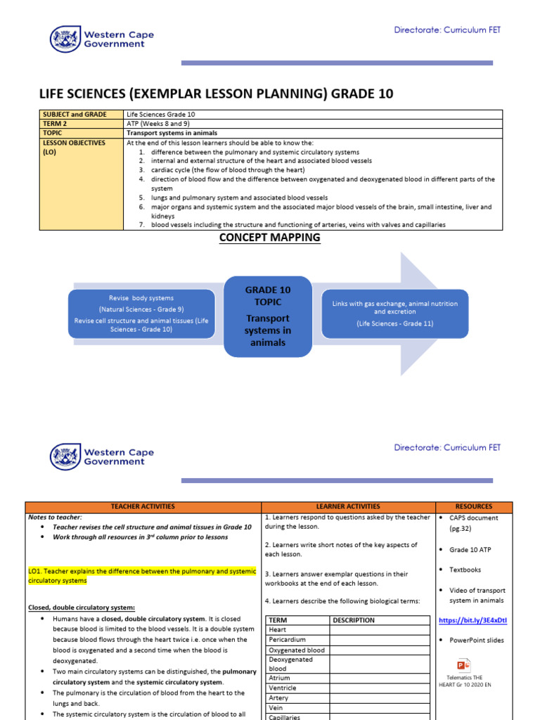 Grade 10 WCED Life Sciences Lesson_3 | PDF | Atrium (Heart) | Heart Valve