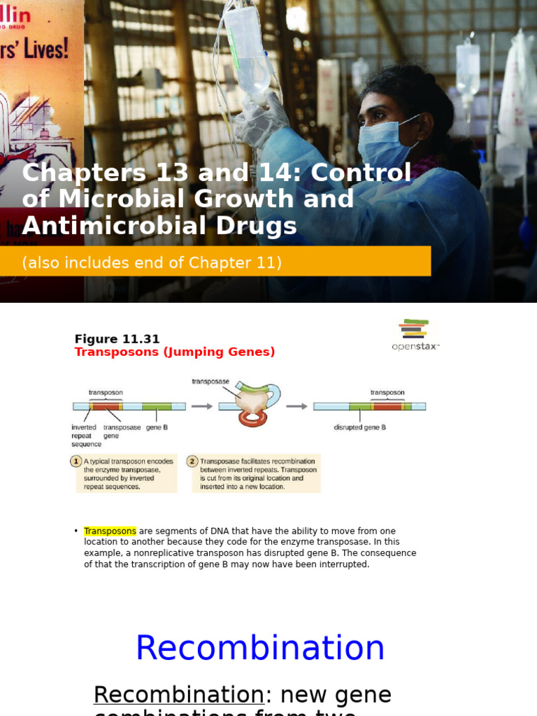 K. Chapters 13 and 14 Control of Microbial Growth and Antimicrobial ...