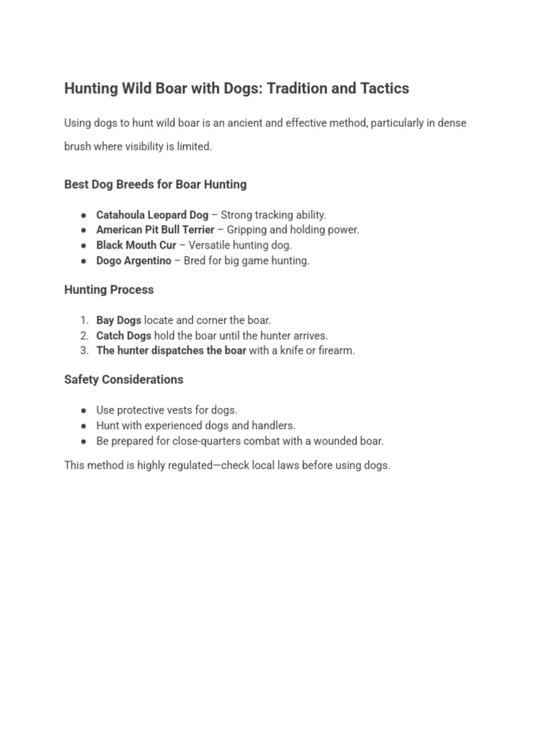 Hunting Wild Boar With Dogs Tradition and Tactics | PDF
