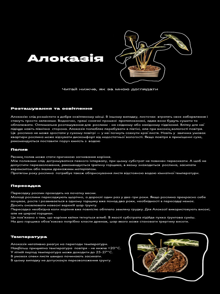 hordi-careplants | PDF
