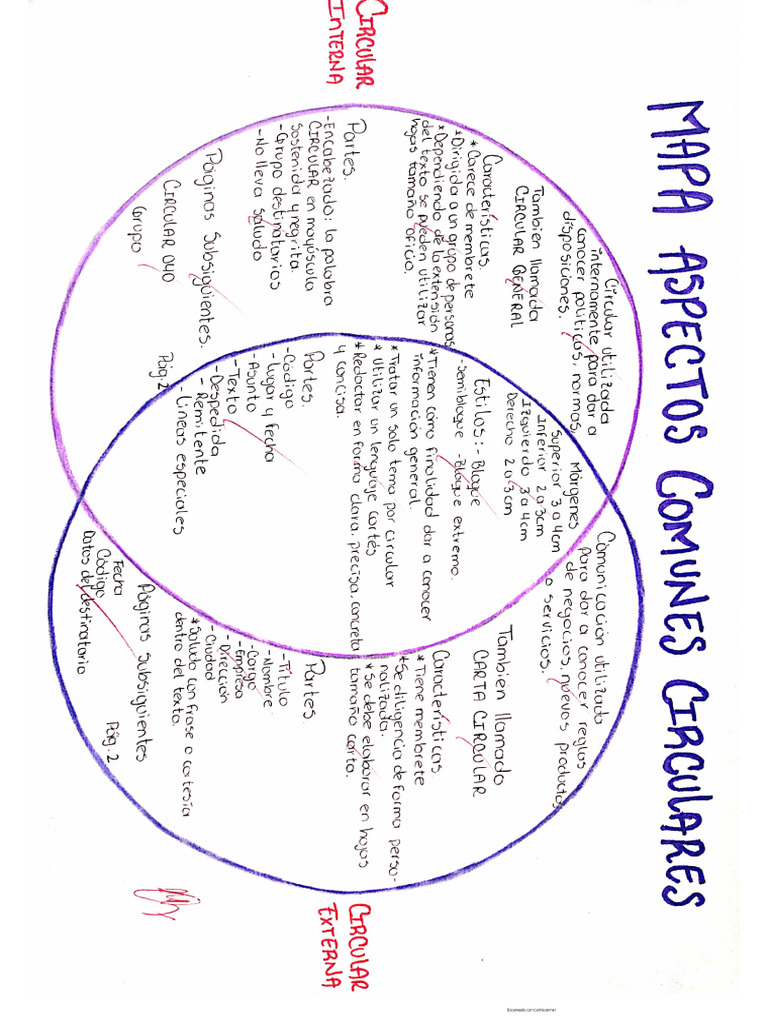 Actividad 12 Mapa aspectos comunes circulares | PDF