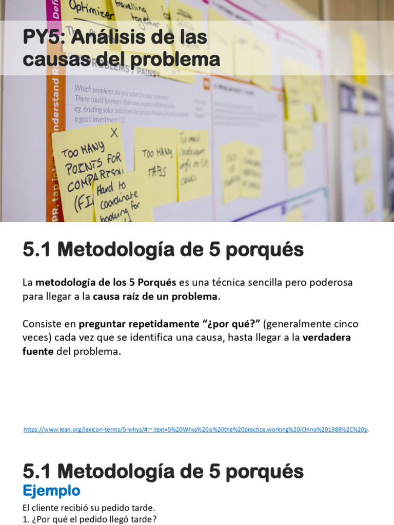 PY5 - Análisis de las causas de un problema | PDF