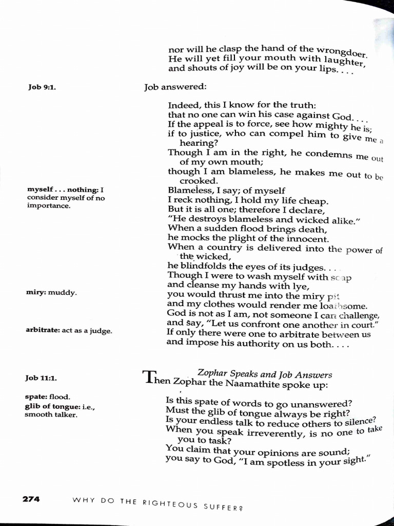 Bible As Lit Unit Packet 5 - Job 2 and NT 1 | PDF