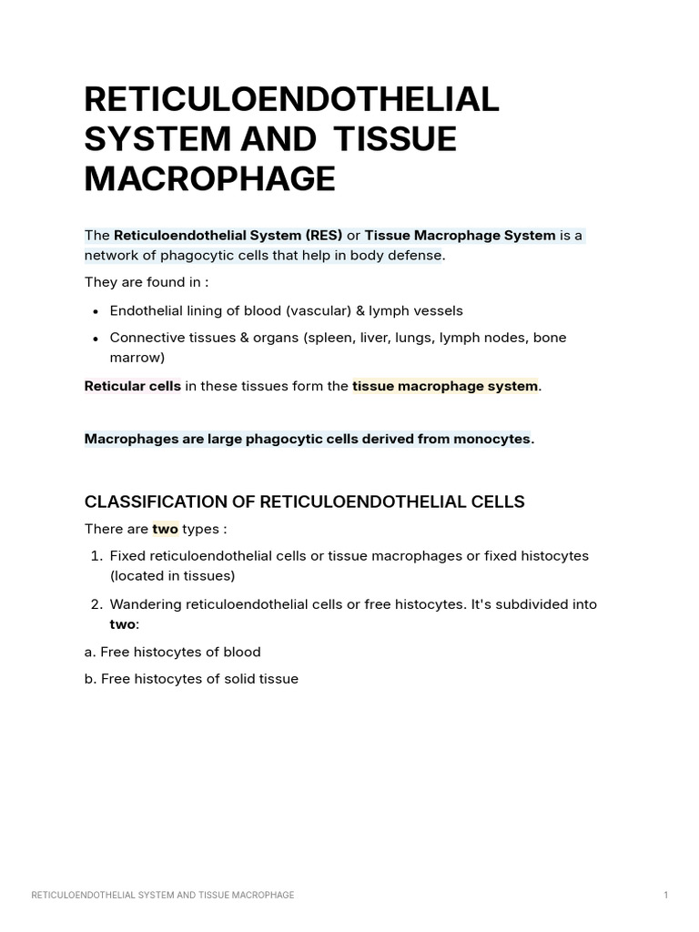 Reticuloendothelial System and Tissue Macrophage | PDF