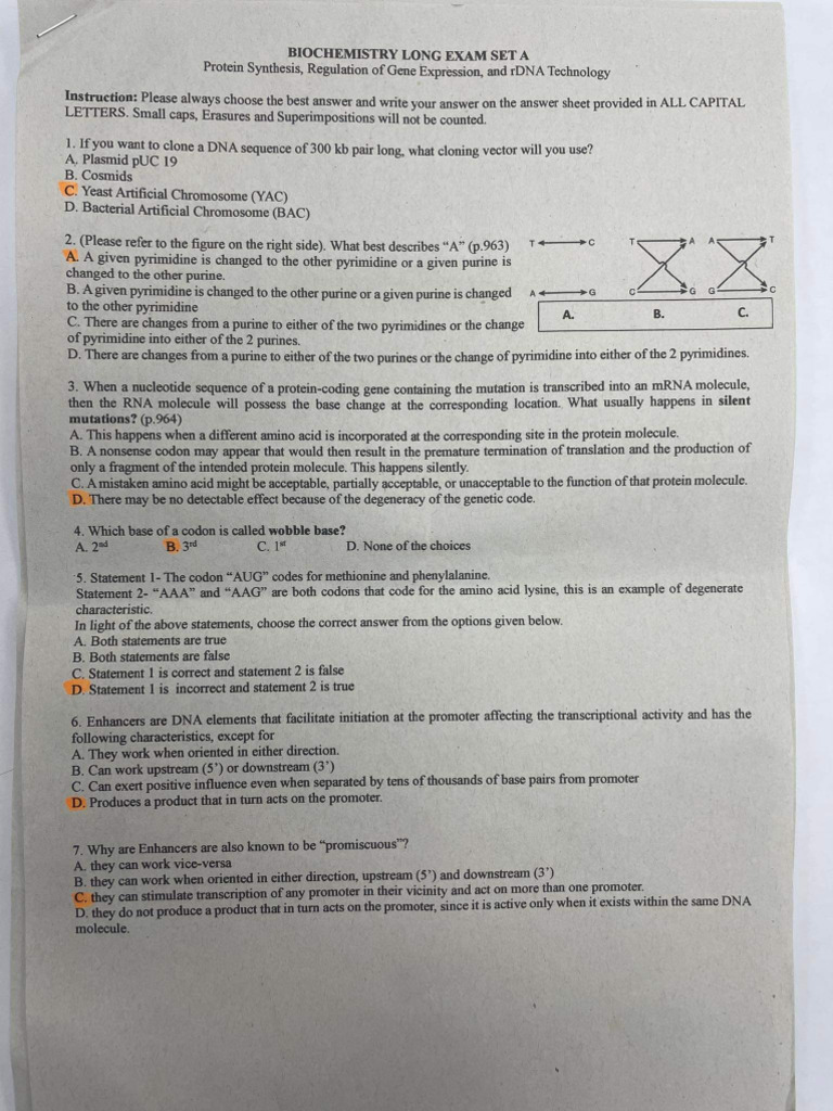 Protein Synthesis Gene Expression Rdna Technology | PDF