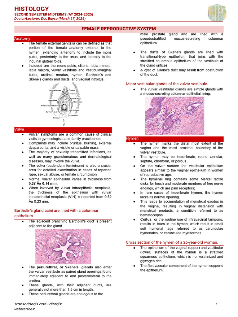 HIS Female Reproductive System 1 | PDF | Vagina | Uterus