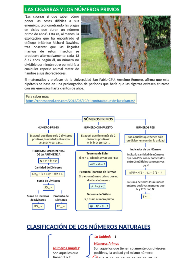 Números Primos y su Aplicación en Matemáticas | PDF | Número primo ...