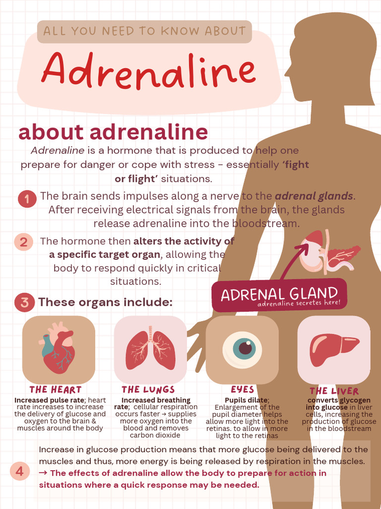 Adrenaline HWK Poster | PDF